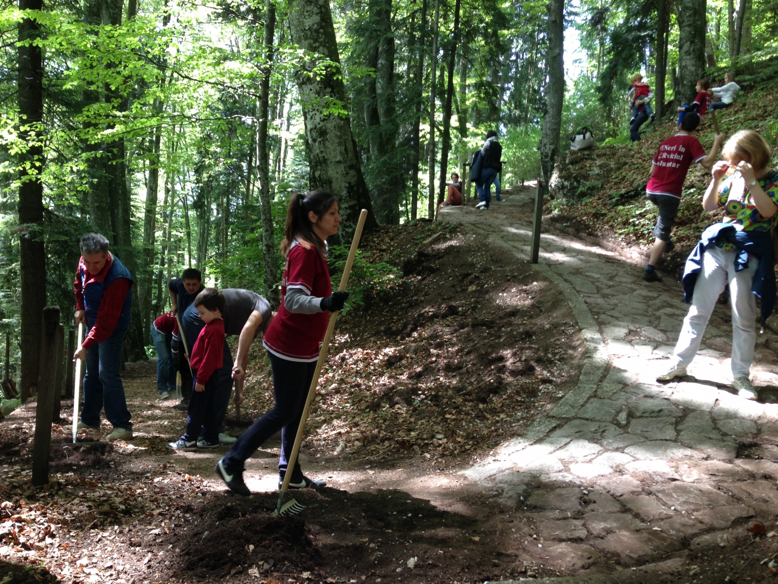 Poteca Regală din Sinaia, refăcută de studenţi - Observatorul Prahovean