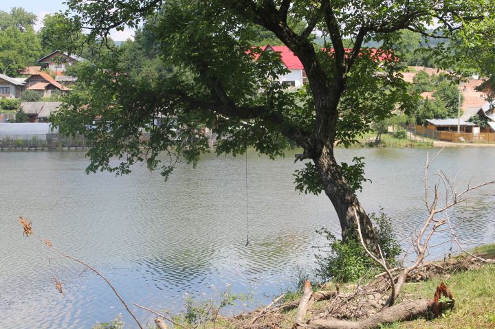 Oaza prahovenilor pe vreme caniculară. Parcul ascuns de la Brebu FOTO ...