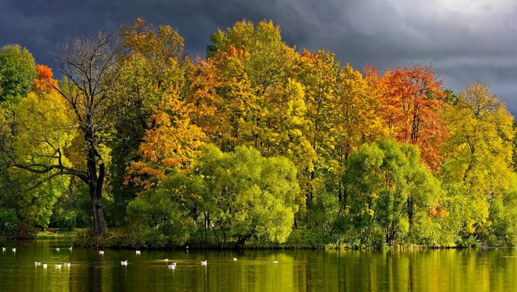 METEO: Ce vreme ne pregătește luna septembrie - Observatorul Prahovean