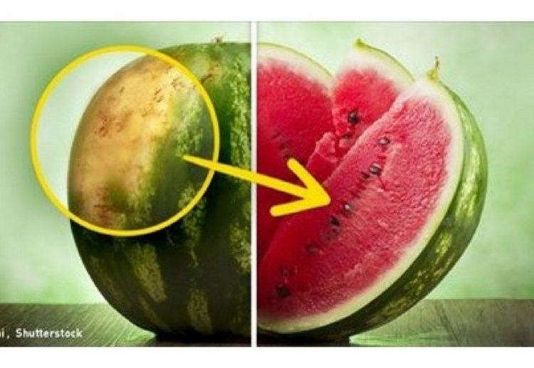 Cum să alegi un pepene copt - Observatorul Prahovean
