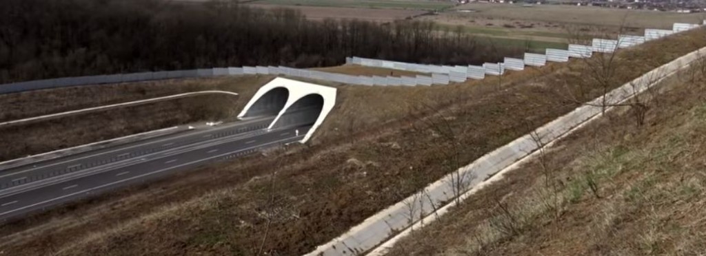 Cum arată primul ecoduct din România prin care urșii vor traversa ...