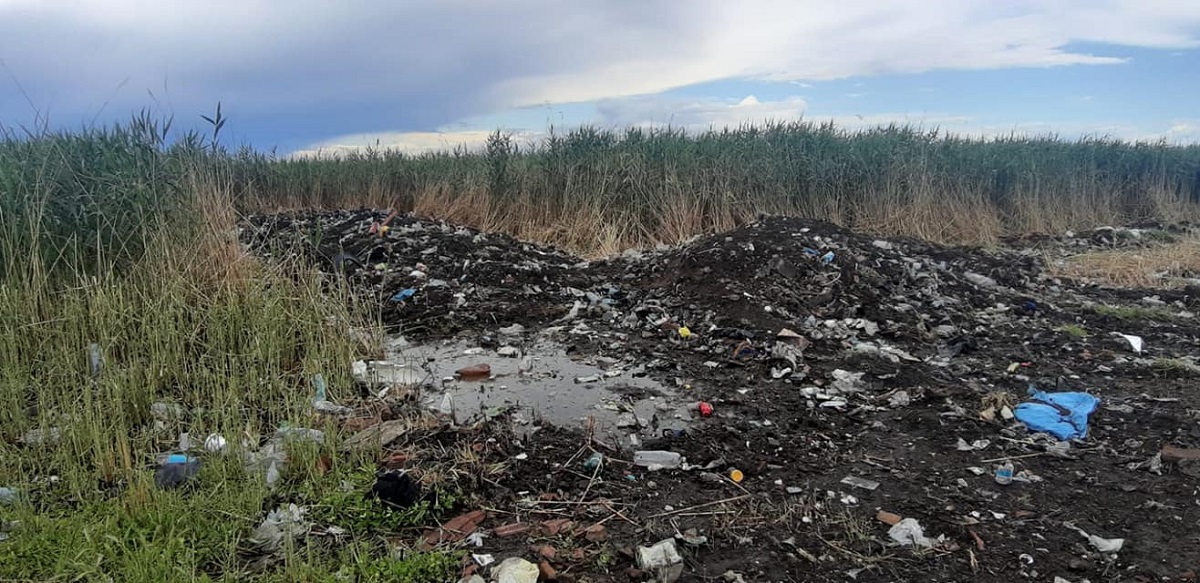 Dezastrul gunoaielor, lângă o baltă din Fulga. Reacția primarului ...