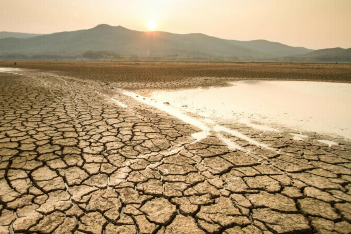 Seacă râurile Europei. Sunt afectate schimburi comerciale în valoare de ...