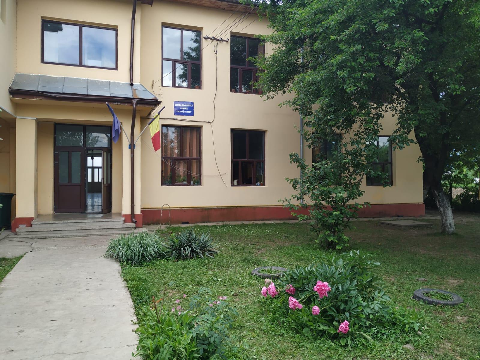 Ana-Maria Surlaru, profesor în Cocorăștii Colț: “Nu e ușor să iei un 10 ...