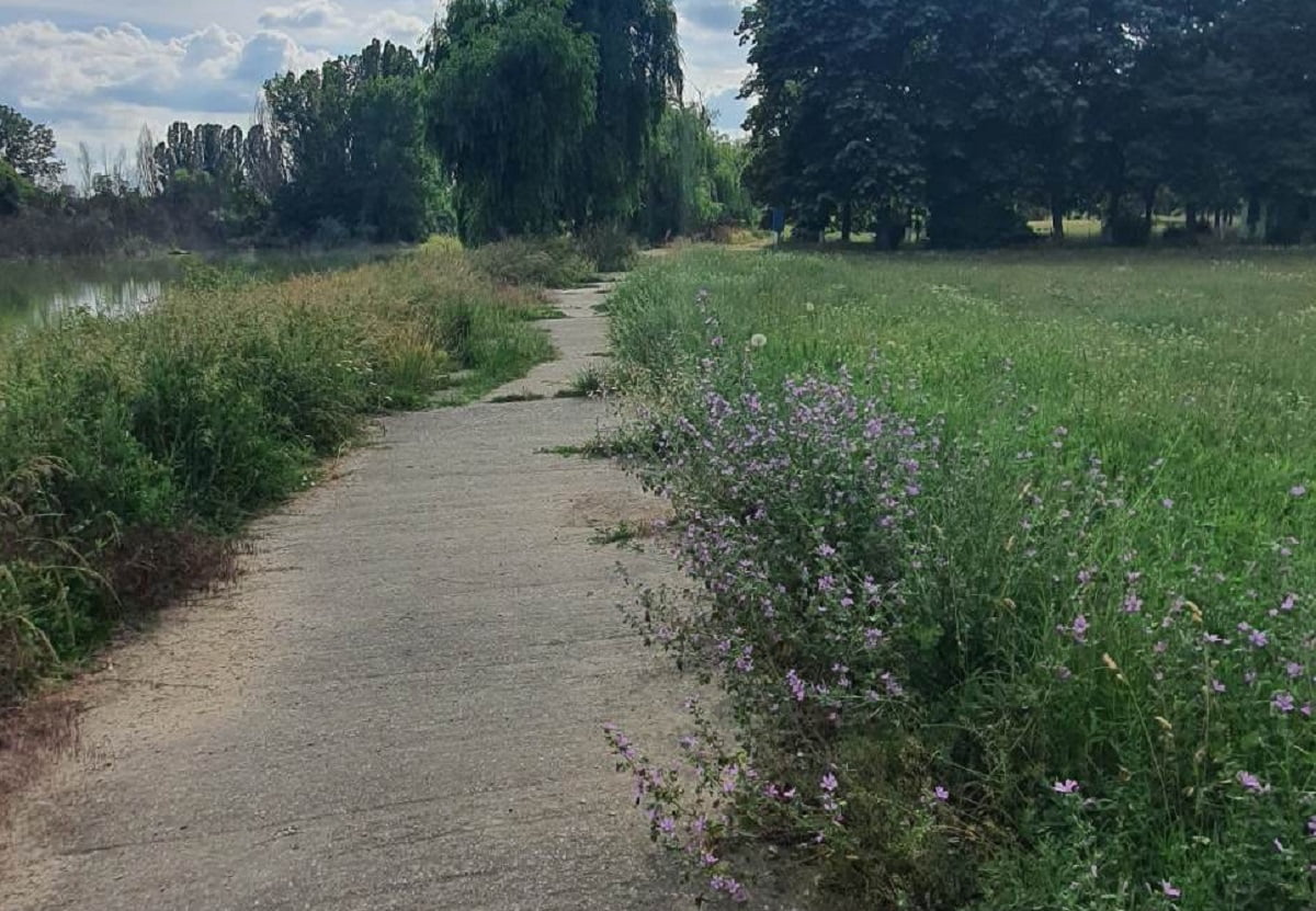 Cândva, Parcul Bucov arăta foarte bine. Acum, arată bine, dar nu se ...