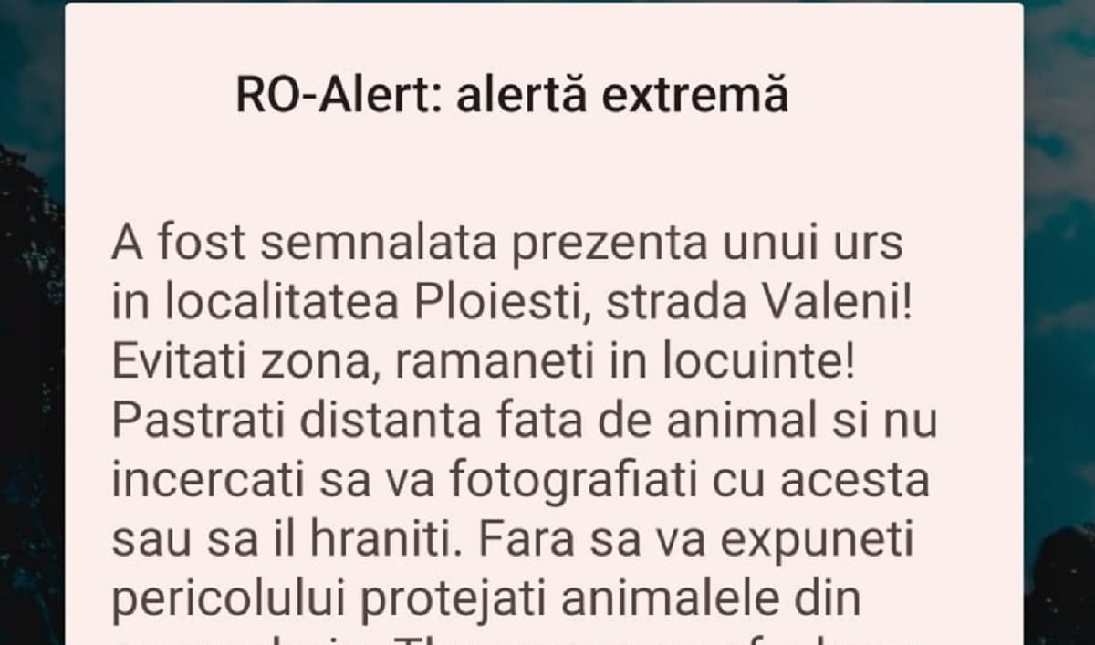 Prima noapte la Ploiești fără mesaje RO-ALERT. O femeie din Bereasca a ...