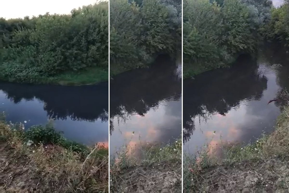 Deversări de canalizare în Râul Teleajen - VIDEO UPDATE - Observatorul ...