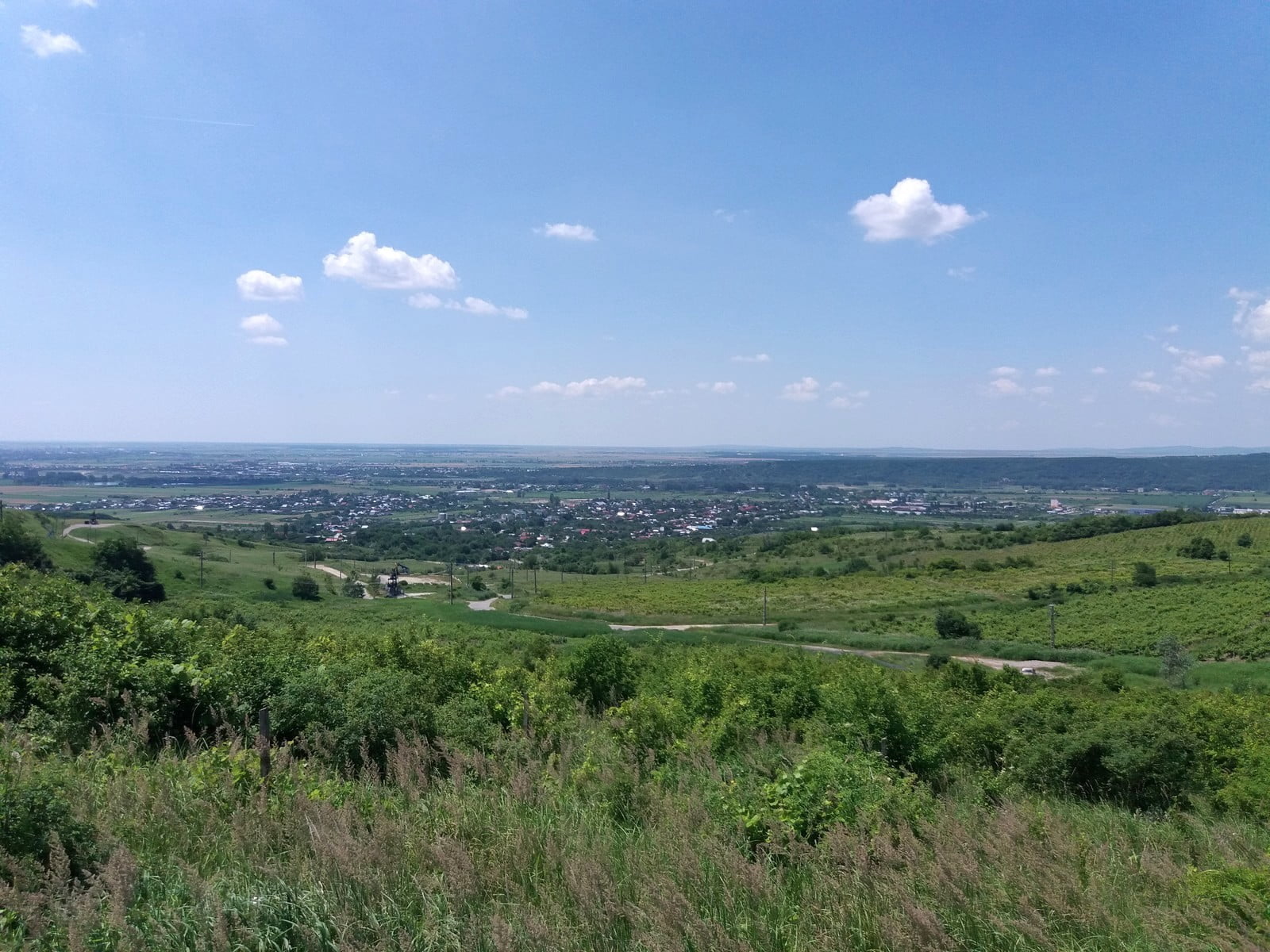 Seciu a devenit un ”magnet” pentru bucureșteni, mai ales după pandemie ...