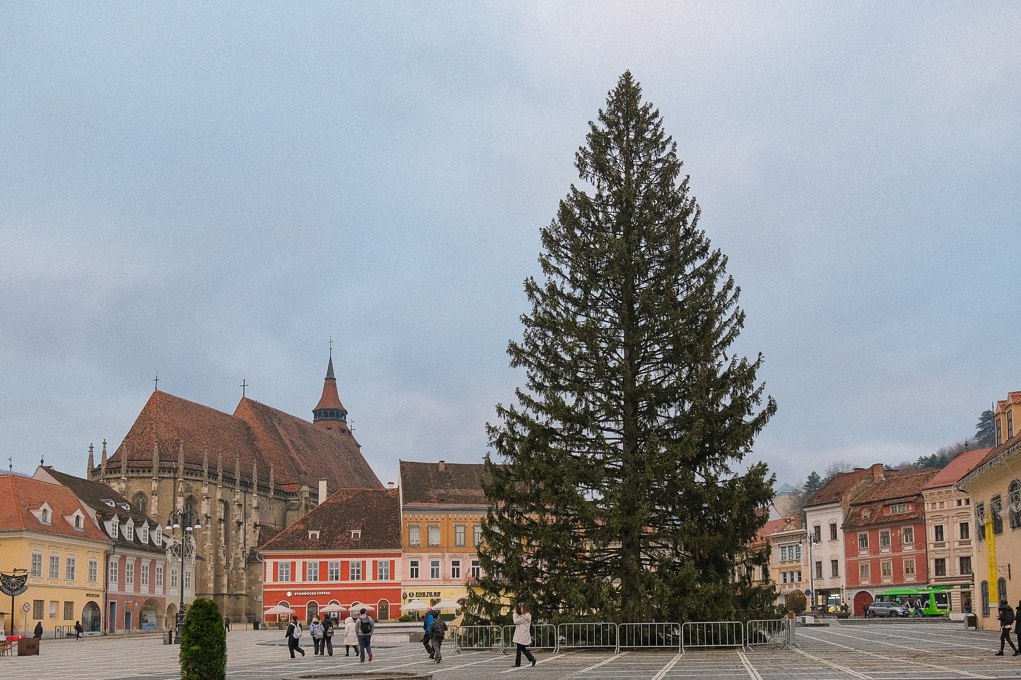 Cel mai înalt brad de Crăciun din țară a fost amplasat în Brașov. Când ...
