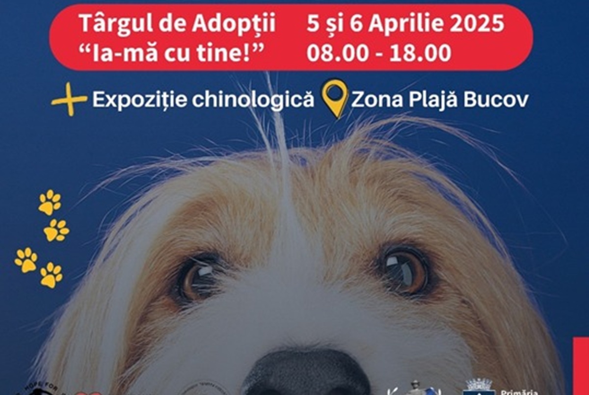 Târg de adopții câini la Parcul Bucov - Observatorul Prahovean