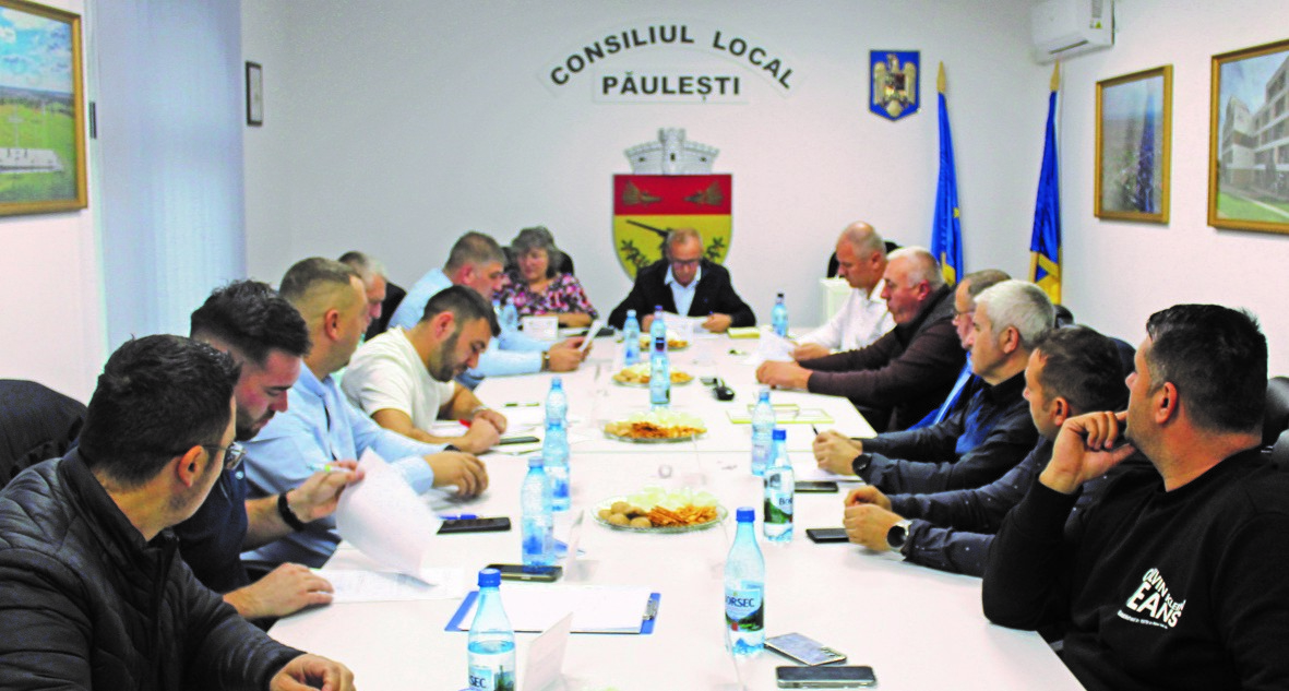 Primăria Păulești – Raportul de activitate al primarului în 2025 ...